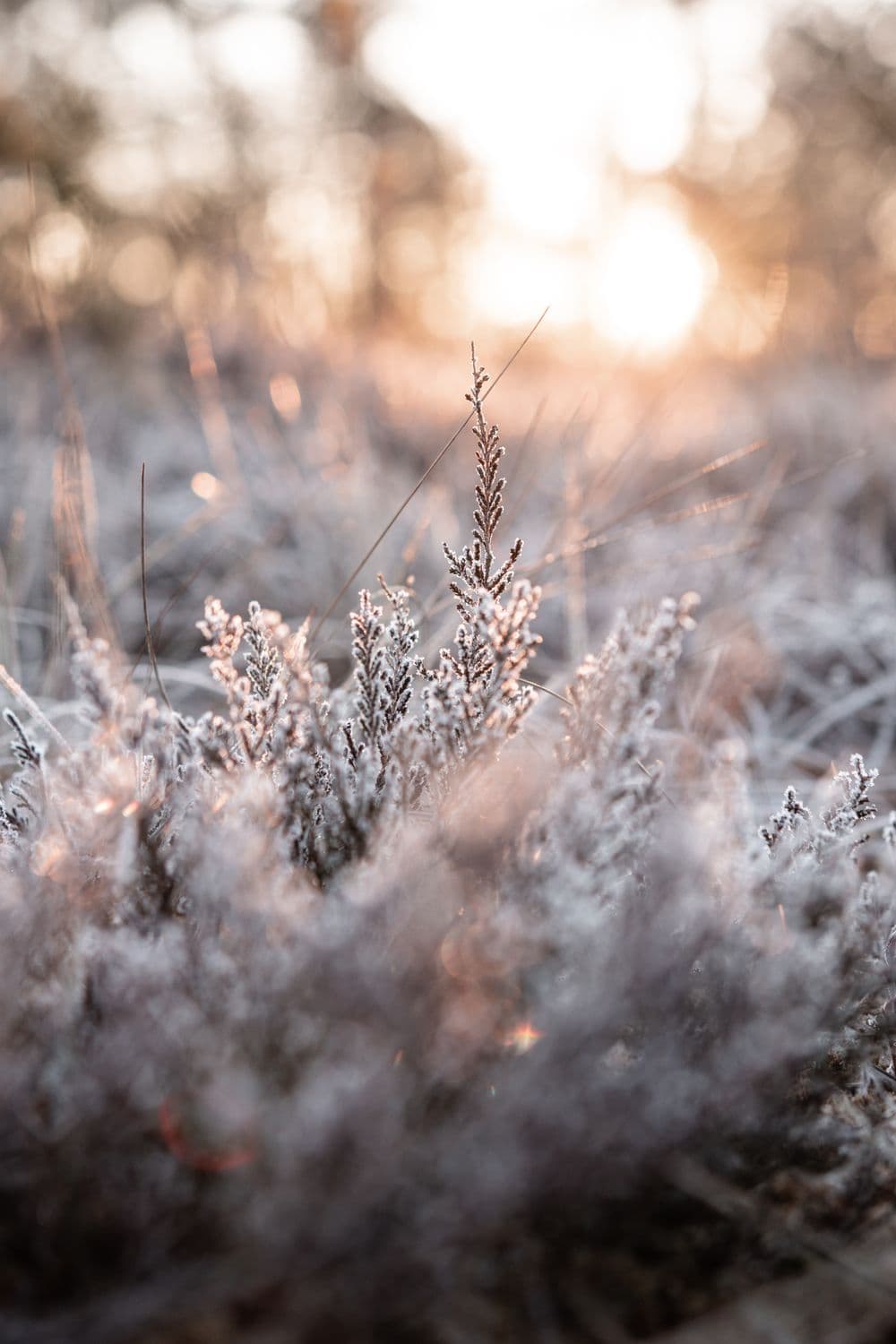 Active Listening Skills & Examples for Better Communication ...